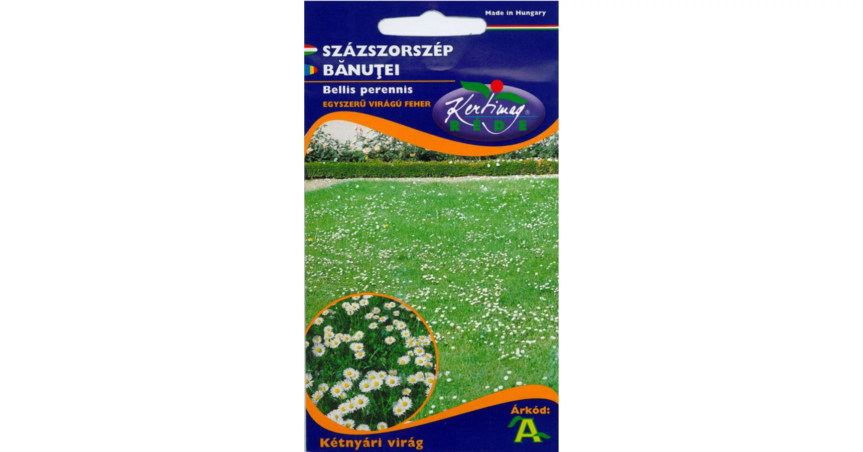 Százszorszép egyszerű virágú fehér 0,25g RÉDEI - Évelő virágok
